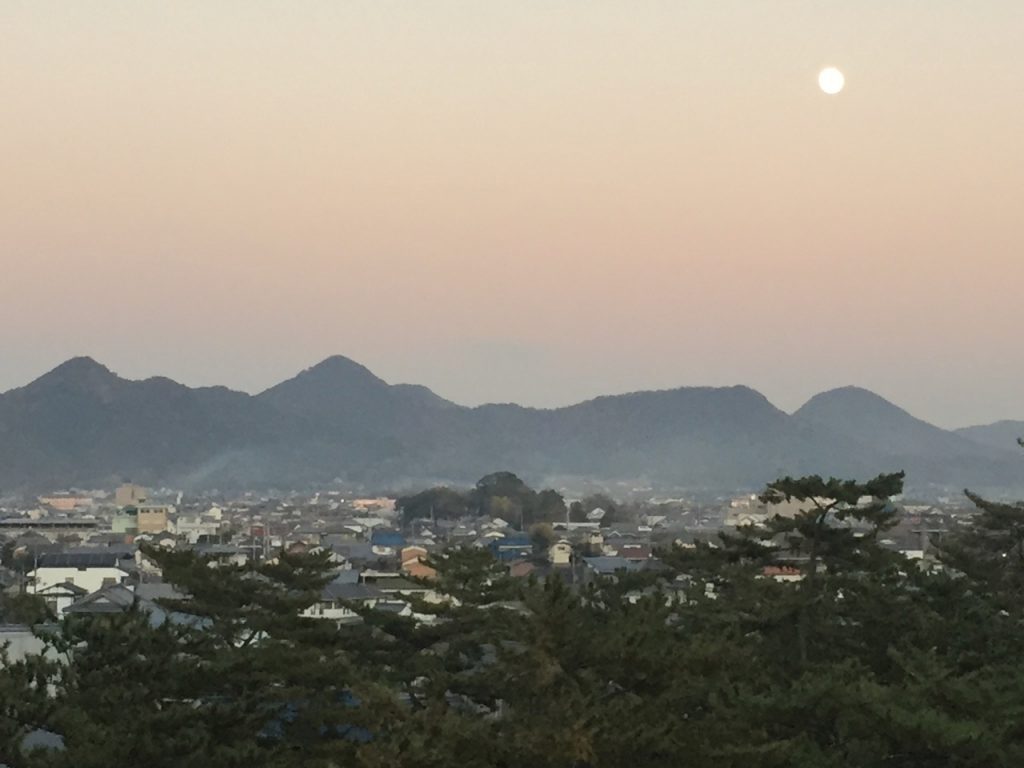 Up Next: Spring Higan service – Higashi Honganji USA